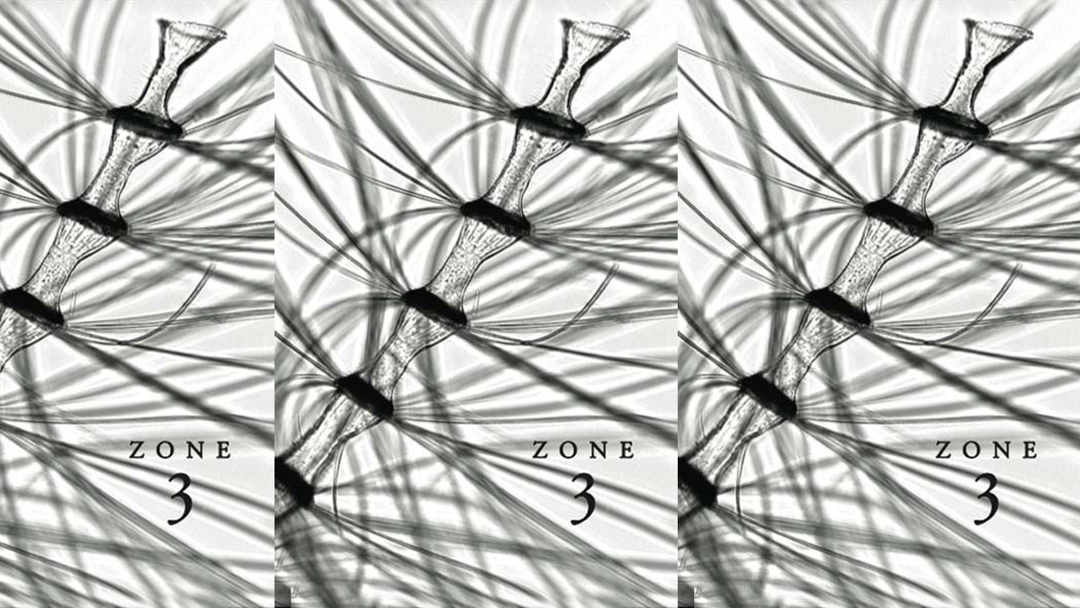 Photograph by Damien Laudier - Zone 3